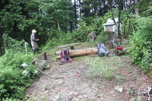 岳山 599M 2等 金山（美濃川合） 山系・鷲ヶ岳＞簗谷山 2024．6．29．: 新・薮山独自ルート floatcloudのブログ
